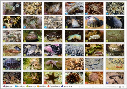 Digital resources | ProyectoSub