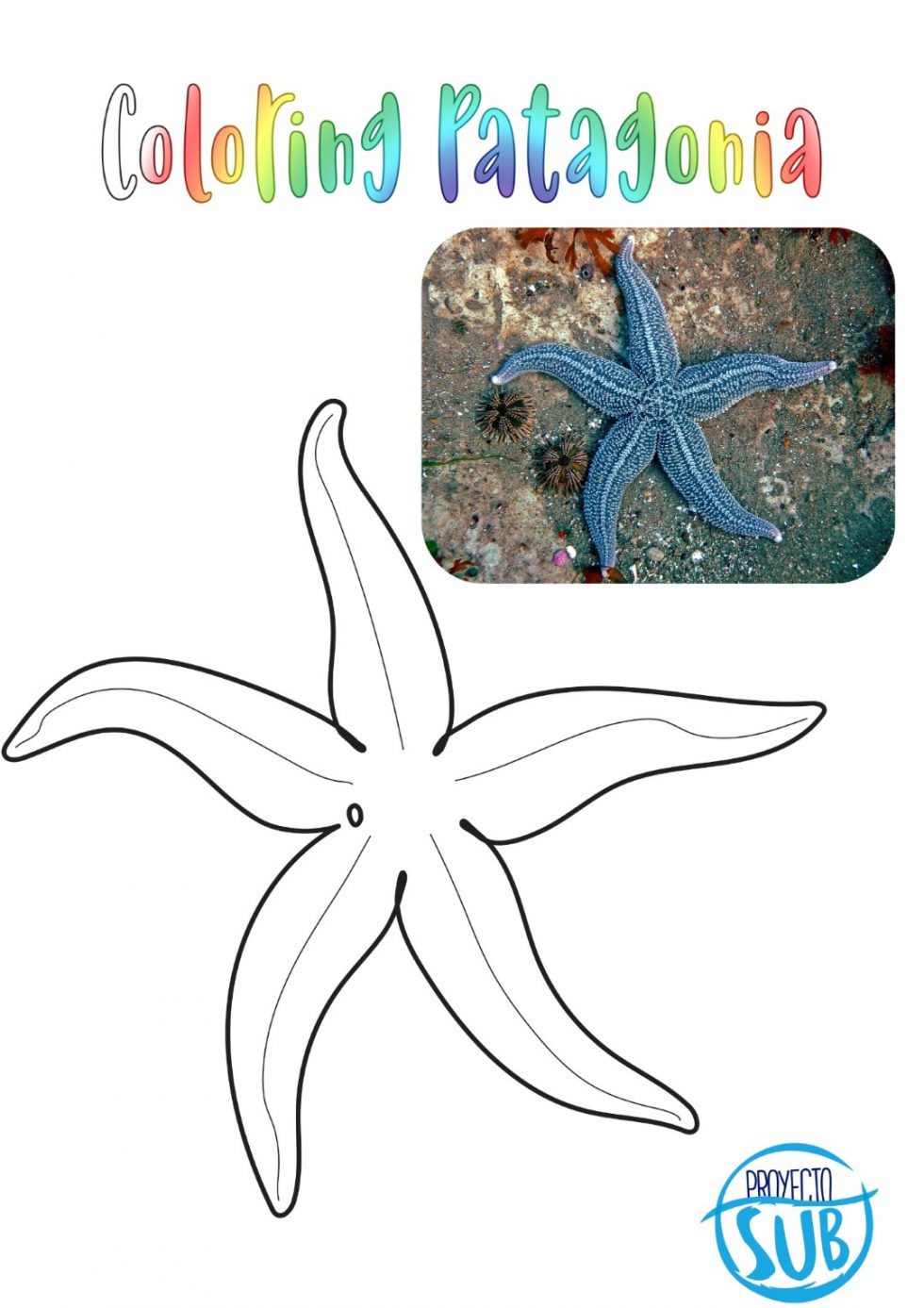 Digital resources | ProyectoSub